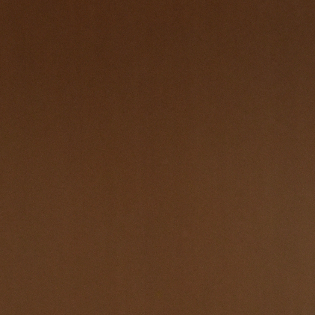 Plated Bronze – Mirror Image